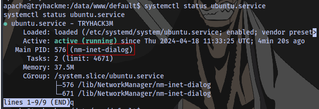 TryHack3M: Bricks Heist | deusx:~#